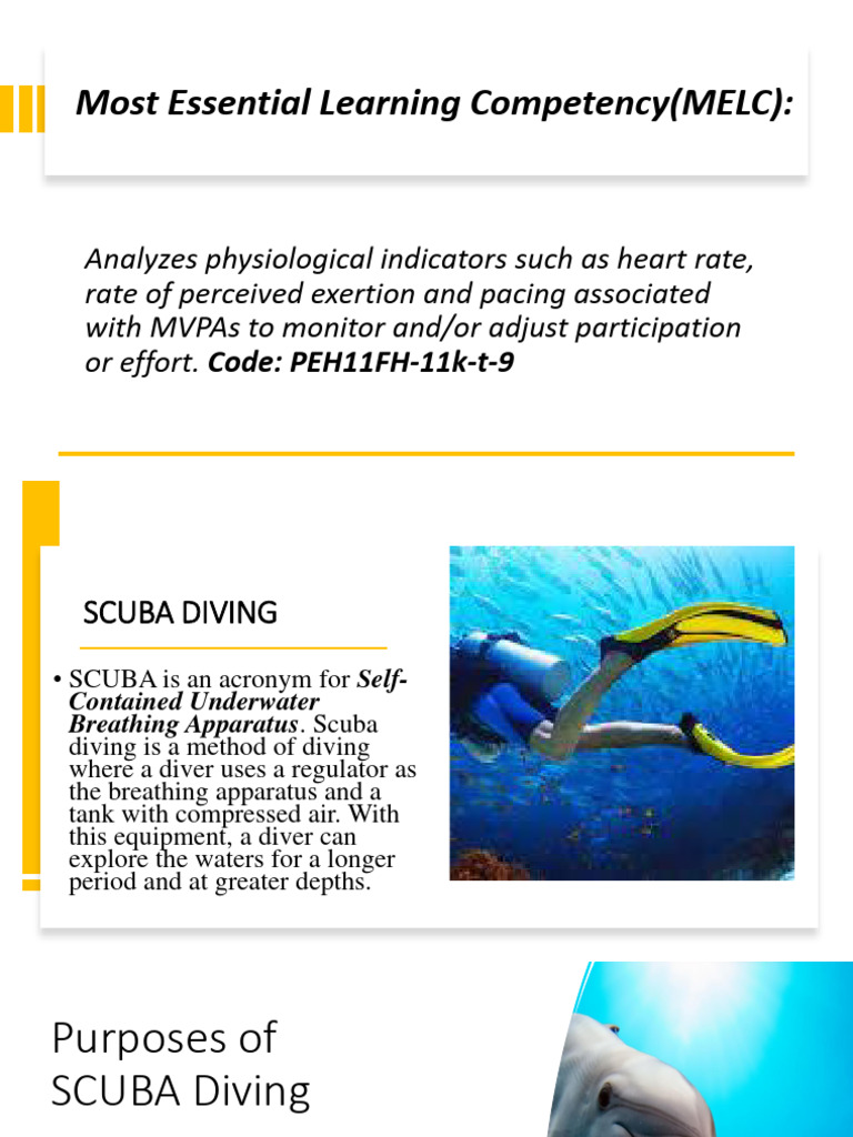 Hope 4 Module 4 Scuba | Download Free PDF | Scuba Diving | Occupational ...