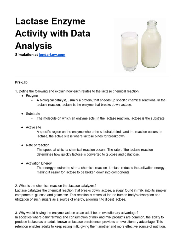 Lactase Enzyme Activity - With Data Analysis - STELLA | PDF | Enzyme ...