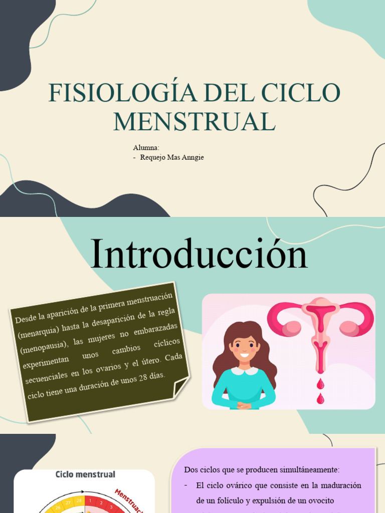 Ciclo Menstrual | PDF | Ciclo menstrual | Hormona luteinizante