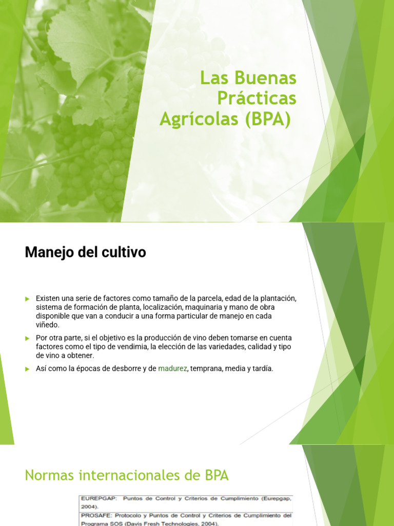 Las Buenas Prácticas Agrícolas (BPA) | PDF | Agricultura | Pesticida