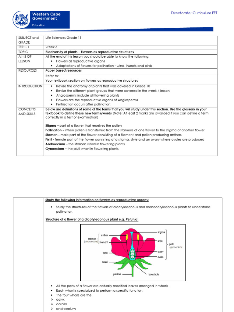 DOC-20240426-WA0006 | PDF | Flowers | Petal