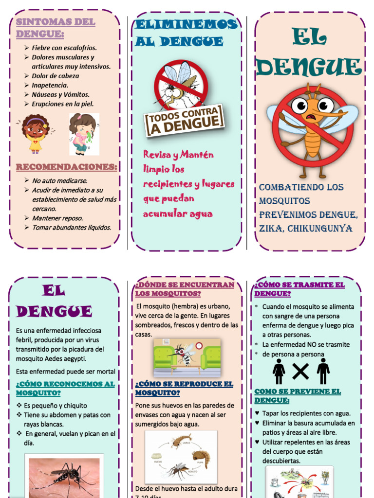 Tríptico El Dengue | PDF | Insectos y humanos | Enfermedades y trastornos