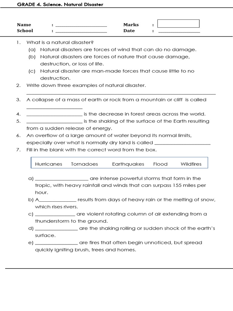 Grade 4 Natural Disasters Worksheet | PDF | Natural Disasters | Flood