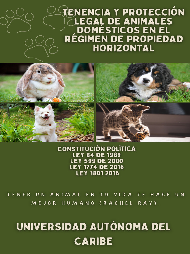 Pendon Consultorio | PDF