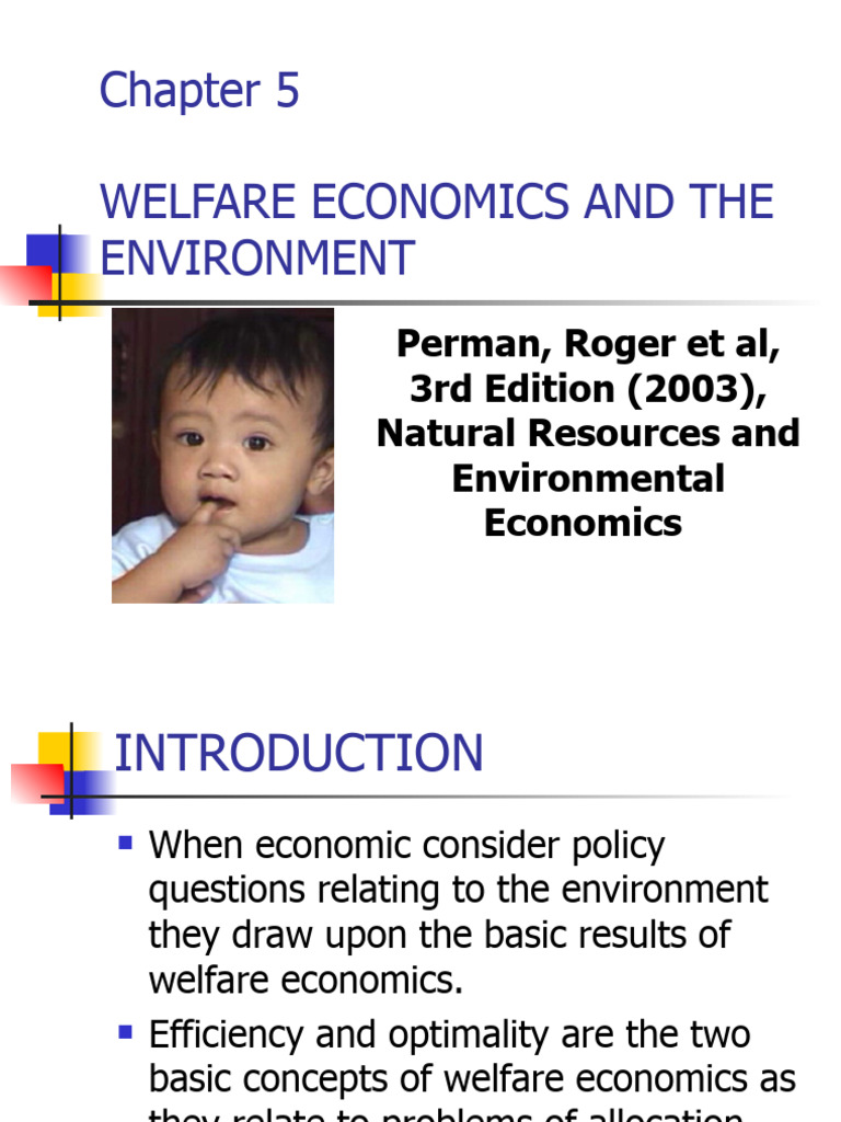 Welfare Economics and Environmental Policy | PDF | Production Function ...