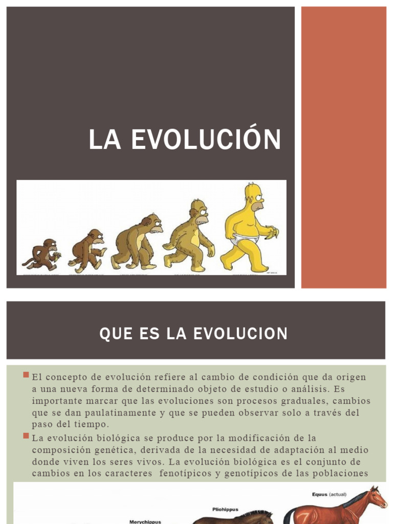 Tipos y Factores de la Evolución Biológica | PDF | Evolución ...