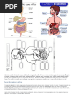 Sigmoidectomia Laparoscopica | PDF | Intestino grueso | Cirugía