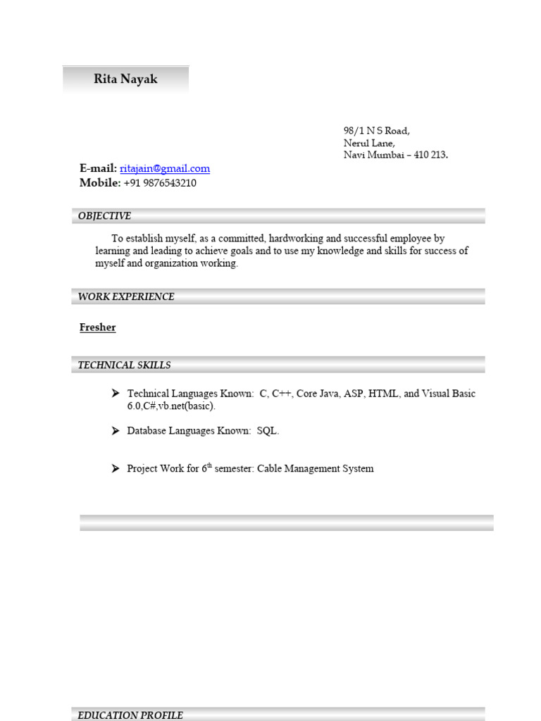BSc IT Fresher Resume Template | PDF