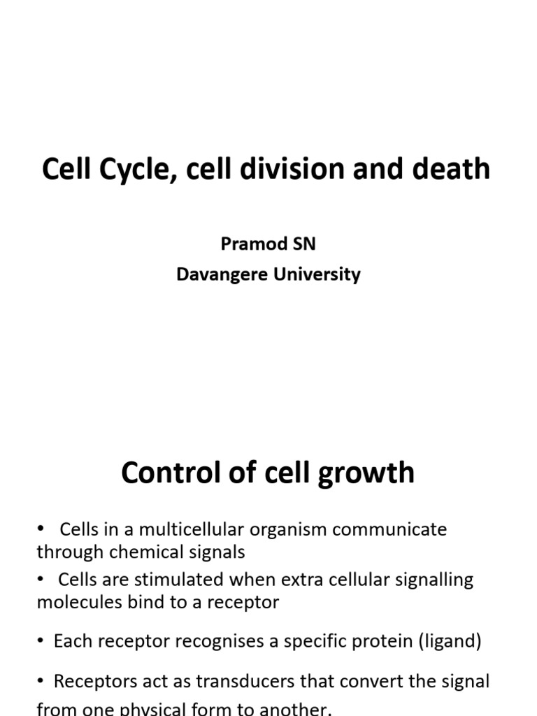 Understanding Cell Cycle and Division | PDF | Meiosis | Ploidy