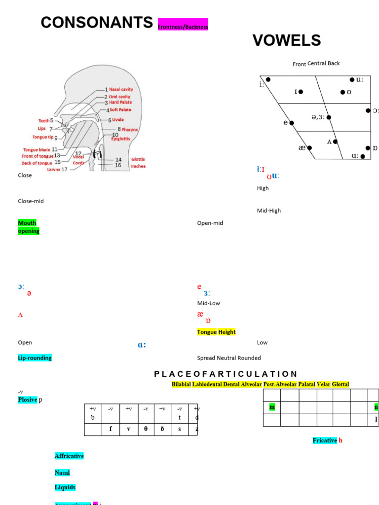 Consonants Vowels: Central Back | PDF