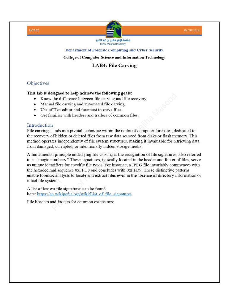 Lab4 - File Carving | PDF