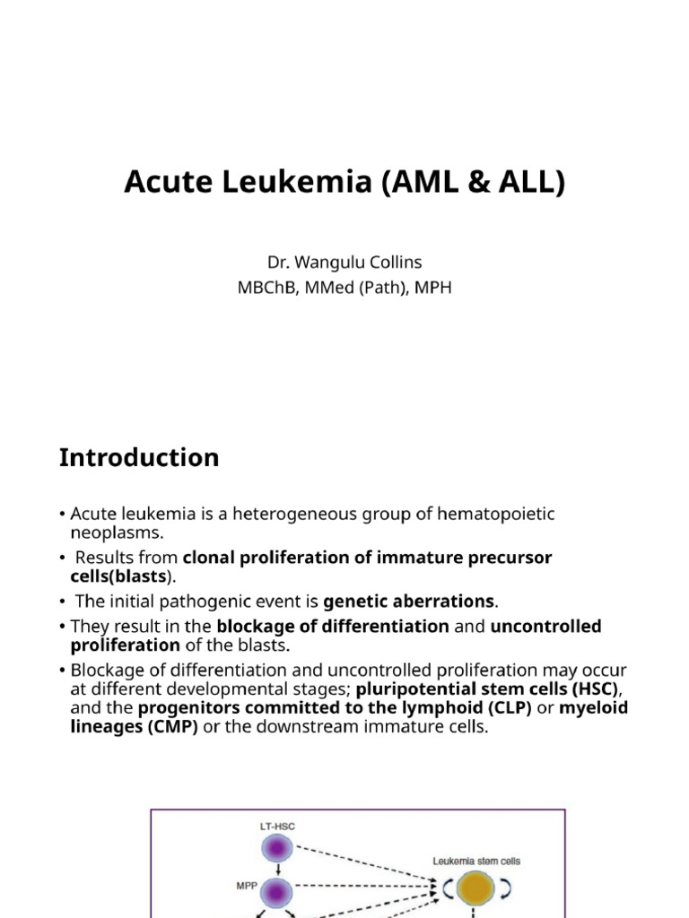 Acute and Chronic Leukemia | PDF