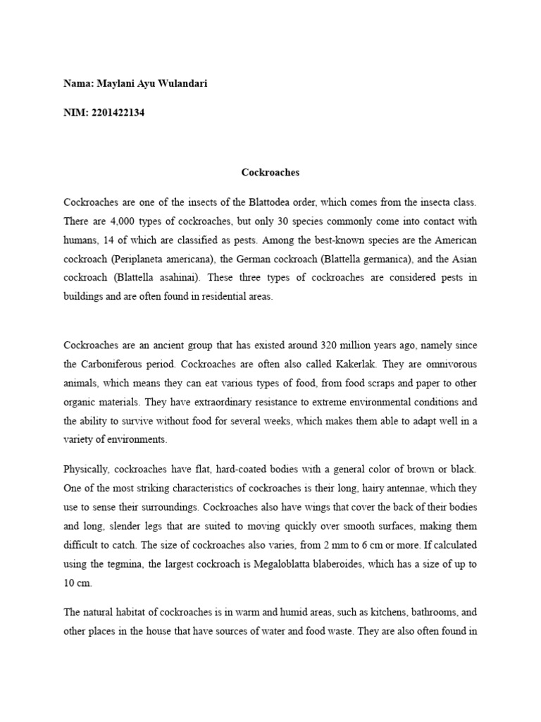 Information Report - Maylani Ayu Wulandari (2201422134) | PDF | Insects