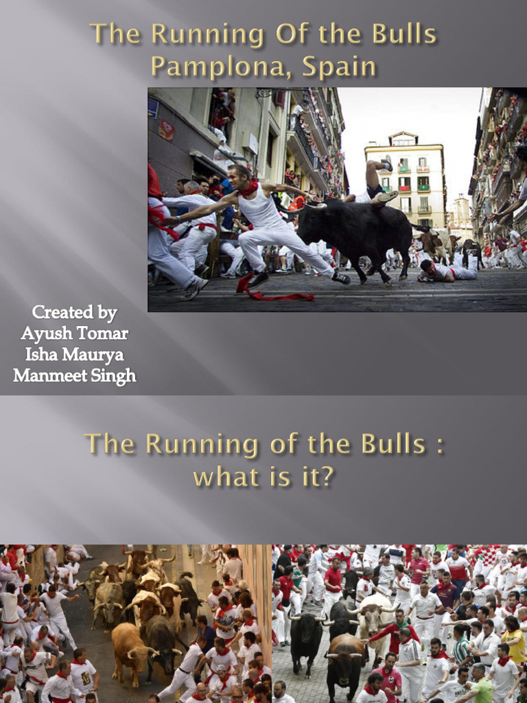 The Running of The Bulls - Ayush Tomar | PDF
