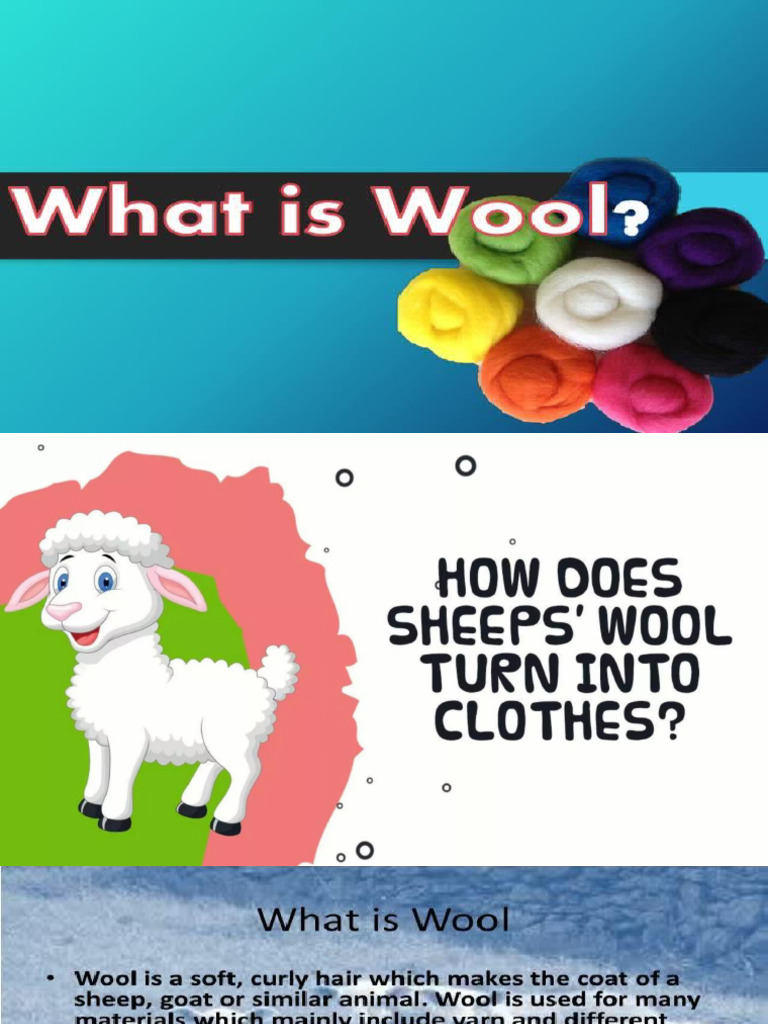 Wool Industry | PDF