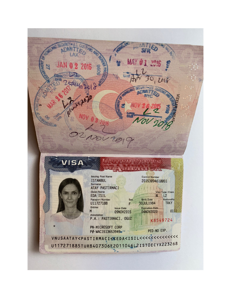 Visas and Other Travels | PDF