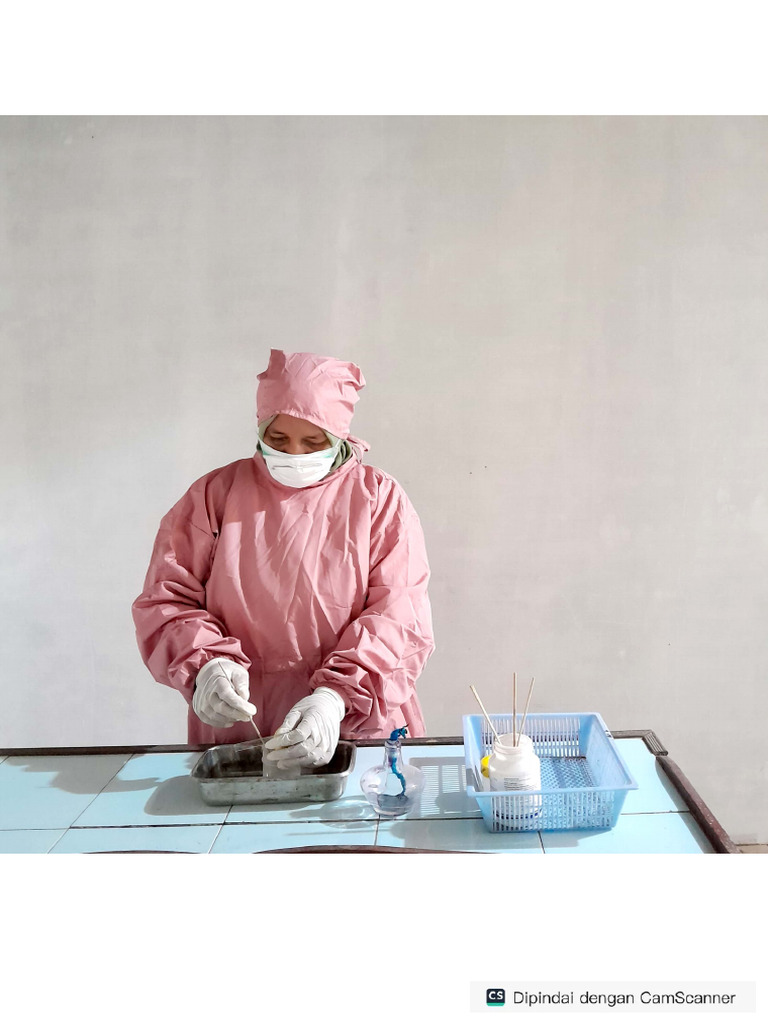 Pemeriksaan Infeksius | PDF