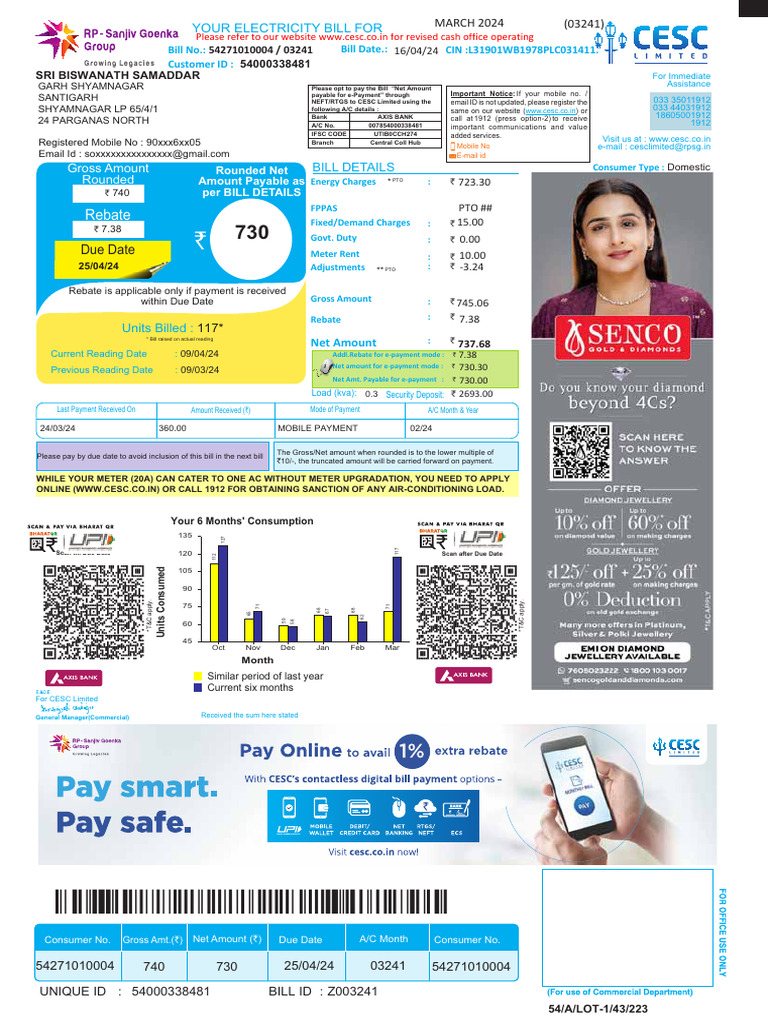 LT BILL 54271010004 Mar24 | PDF | Payments | Money