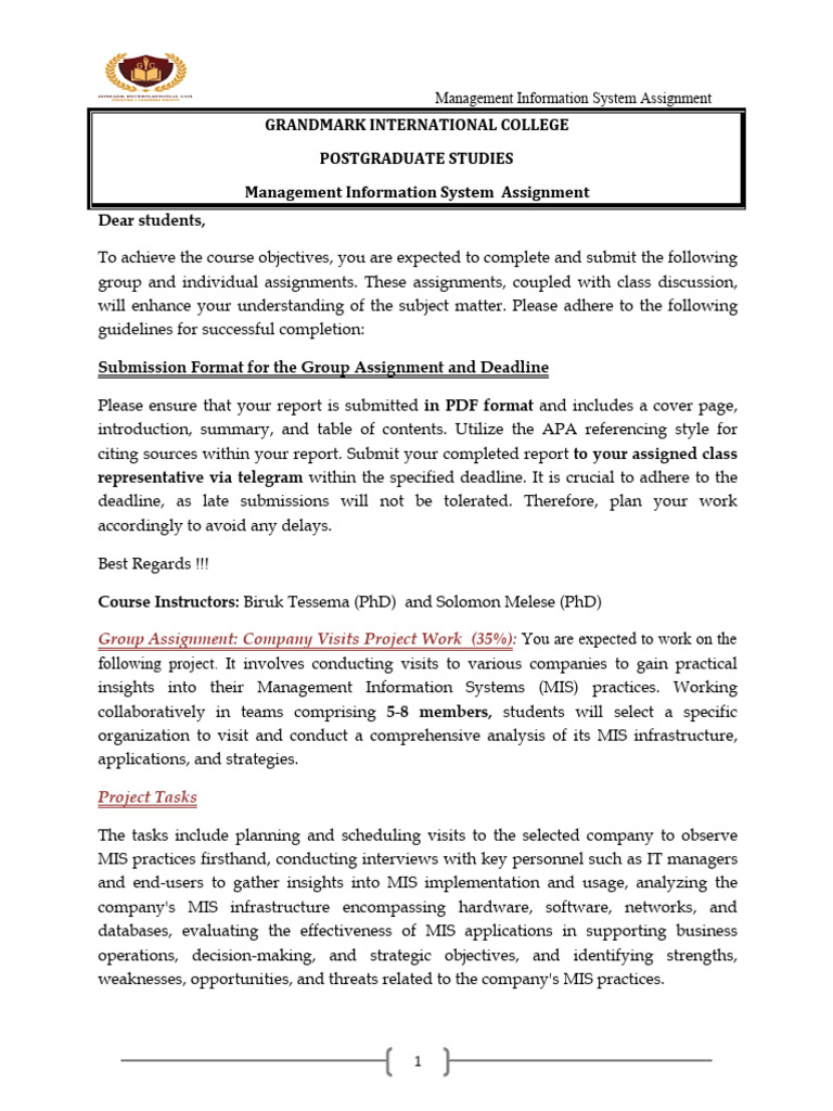 Mis Assignment 2024 | PDF | Management Information System | Information Technology
