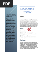 Class 10 Circulatory System Detailed Notes | PDF | Heart | Artery