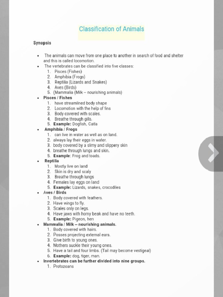 Classification of Animals | PDF