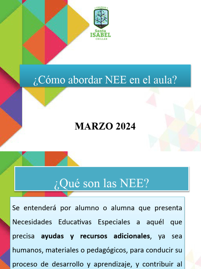 Estrategias para Abordar Nee | PDF | Evaluación | Aprendizaje