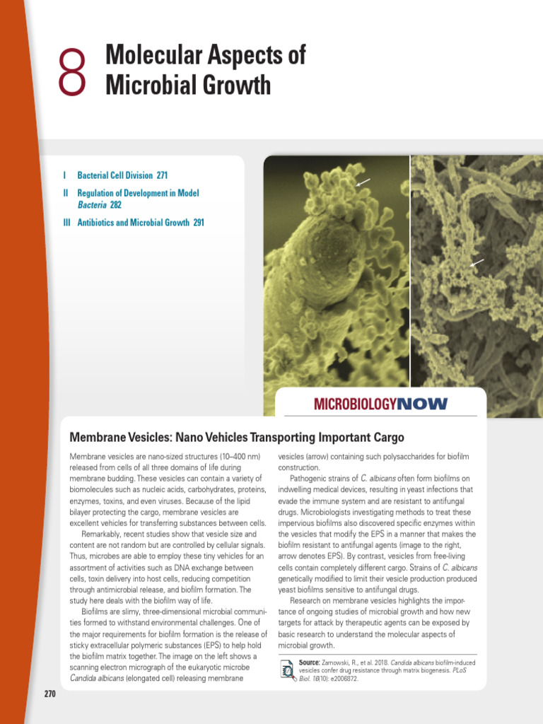 Chapter 8 Unit 2 Brock Biology of Microorganisms, Ebook, Global Edition | PDF | Dna Replication ...