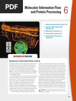 Class 9 - Pearson - Biology - Cell - Fundamental Unit of Life | PDF | Cell (Biology) | Chloroplast