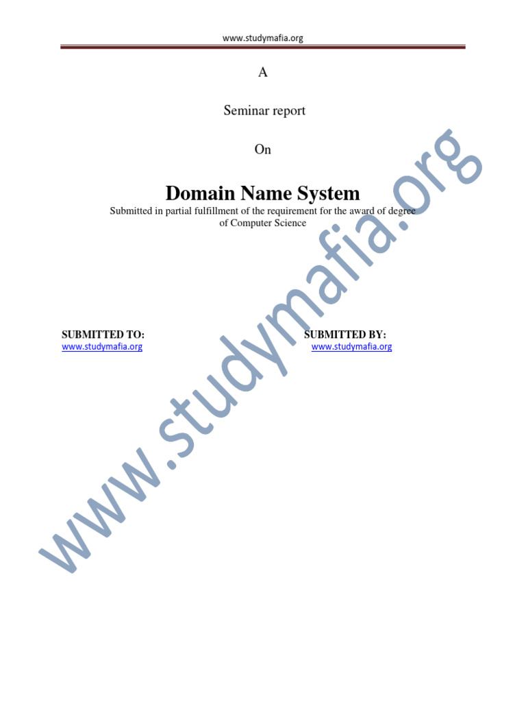 Cse Dns Report Pdf Domain Name System Domain Name