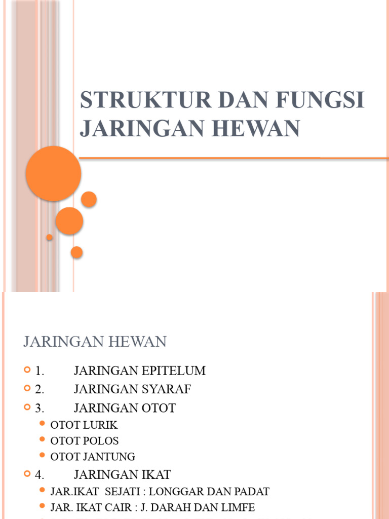 Struktur dan Fungsi Jaringan Hewan | PDF | Sains & Matematika