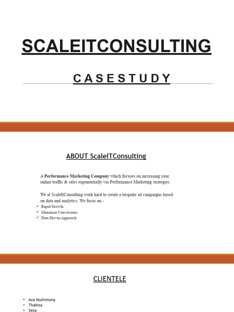 ScaleITConsulting Case Study: Boosting ROAS | PDF | Brand | Sales
