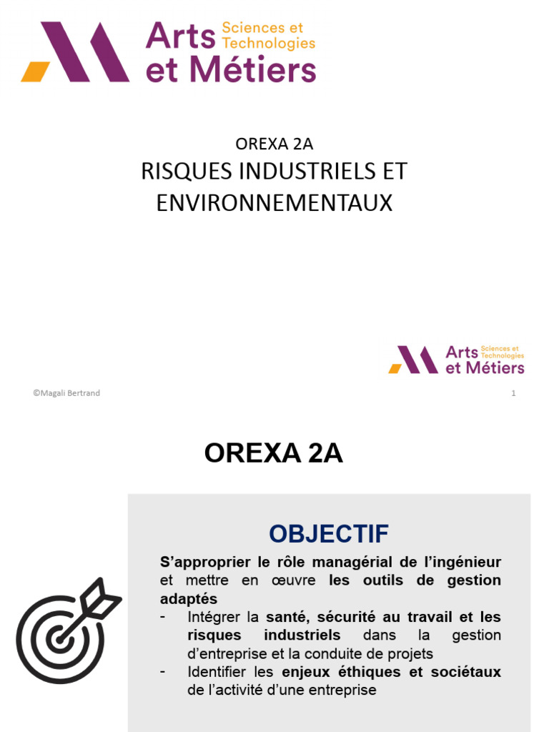 SST Risques Industriels | PDF | Risque