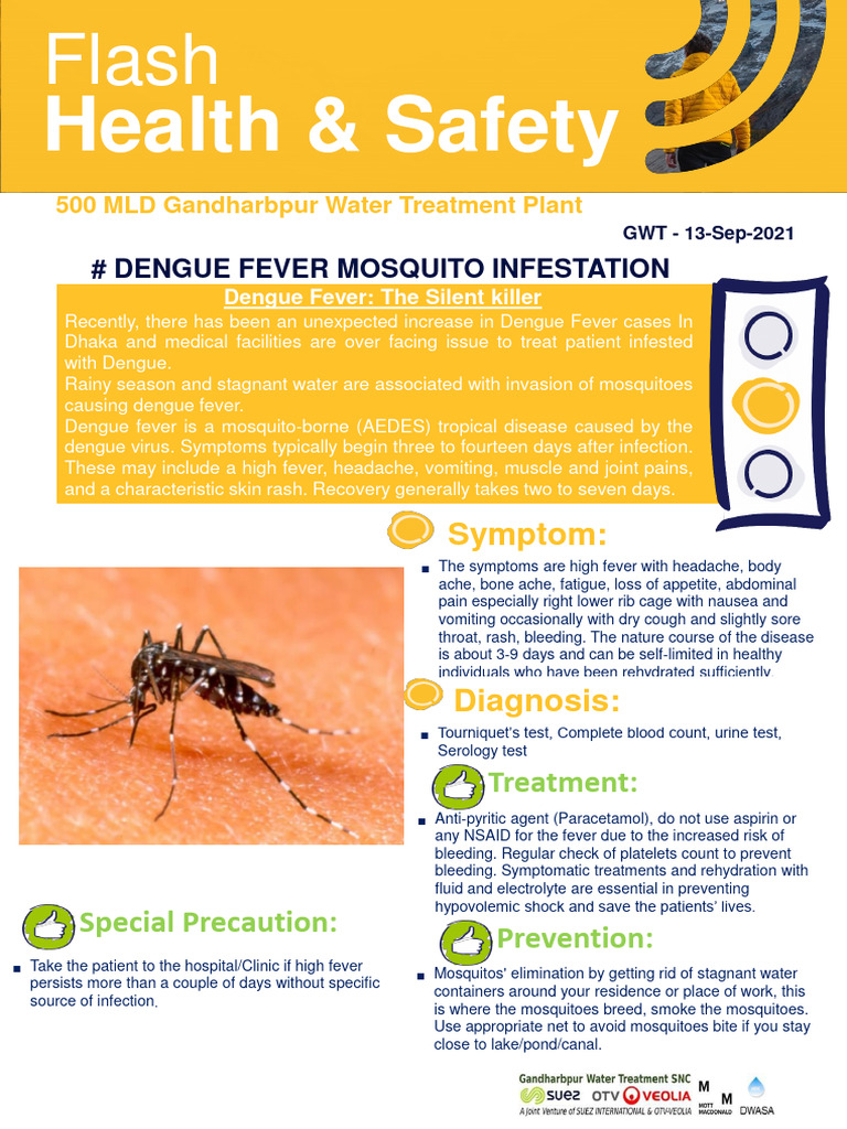 Dengue Fever Mosquito Infestation | PDF | Epidemiology | Immunology