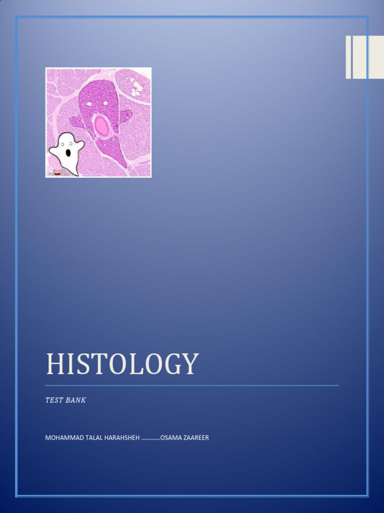 Histology | PDF | Chemical Synapse | Bone