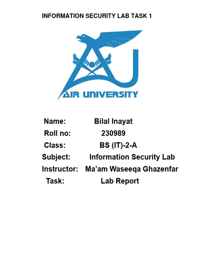 Information Security Lab Task 1 Pdf Games And Activities 