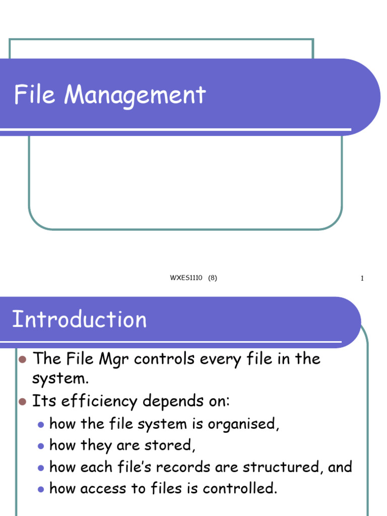 8 - File MGMT | PDF | Computer File | Database Index