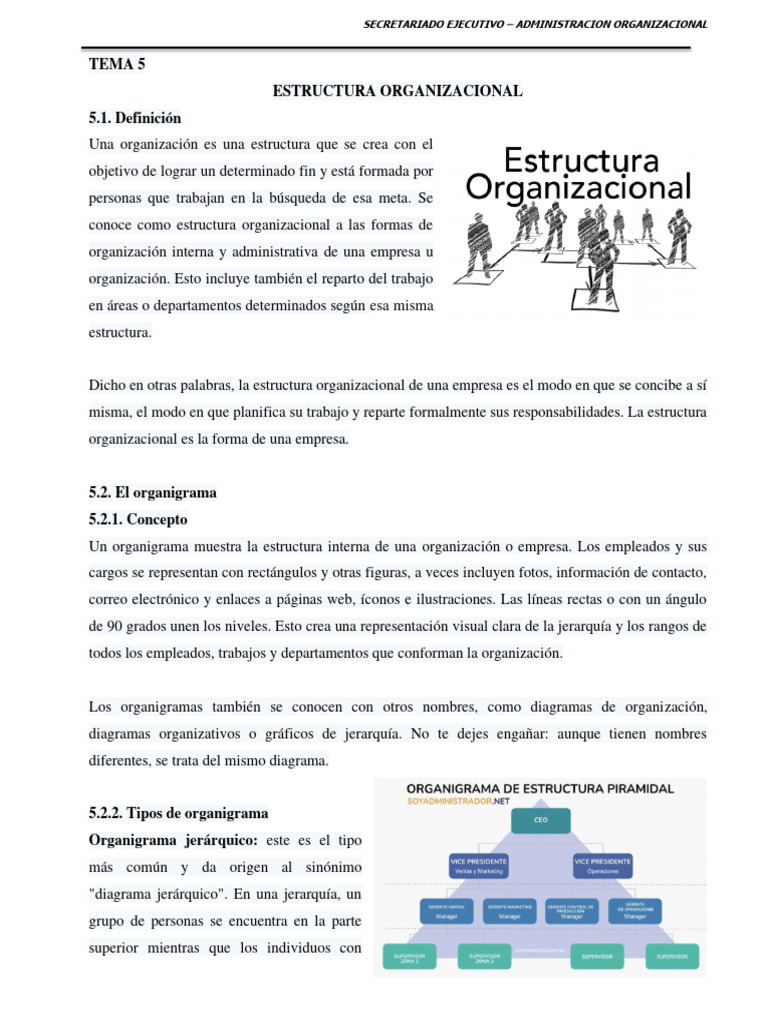 Tema 5 Estructura Organizacional | PDF | Business