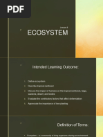 Lesson 10: Forest Ecosystem Overview | PDF | Trees | Rainforest