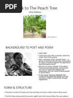 Analysis of "Die Hanswors" Poem | PDF