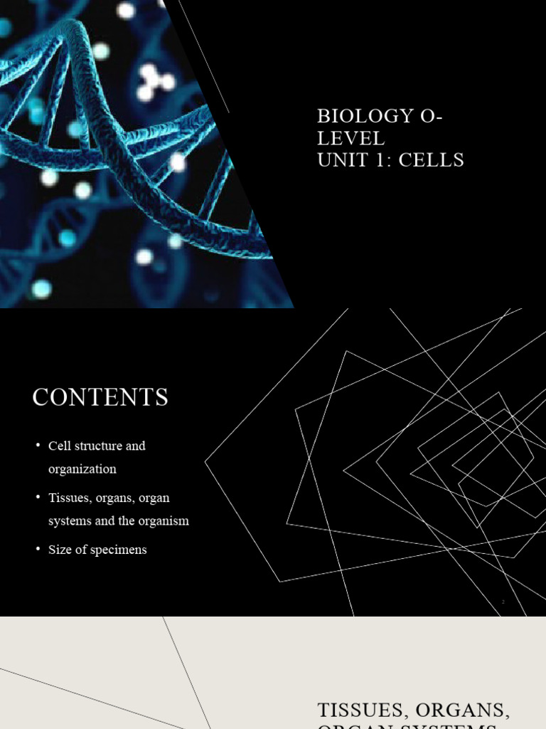 Lecture 1 - Tissues, Organs, Organ Systems, Organism and Size of ...