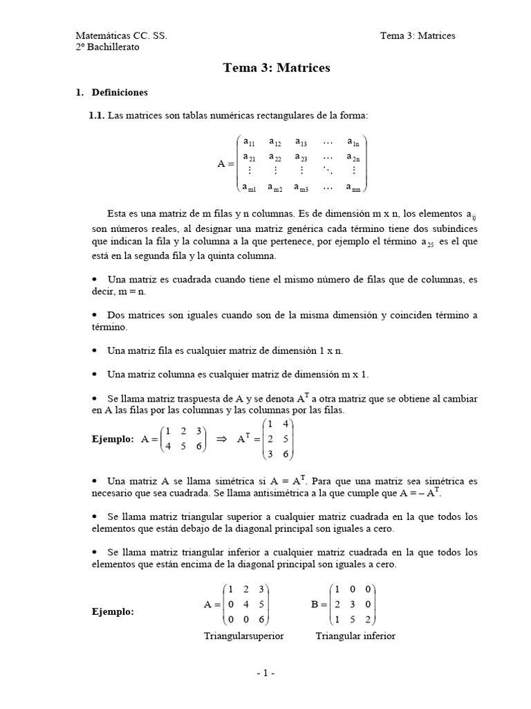 Tema 3.matrices | PDF | Matriz (Matemáticas) | Multiplicación
