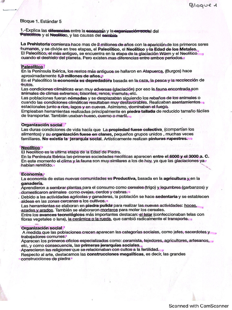 Estándar 5 | PDF