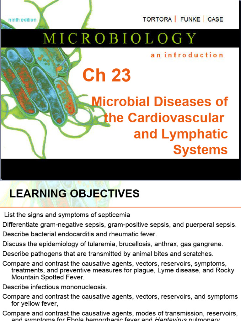 Microbial Diseases of Cardiovascular and Lymphatic System | PDF ...
