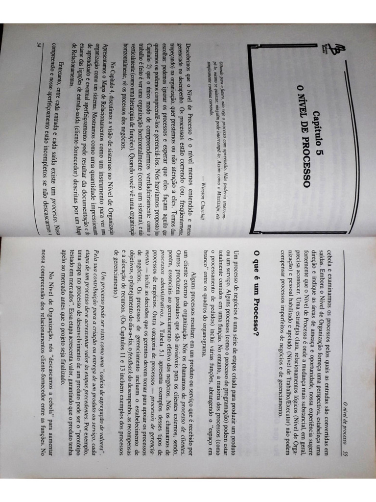 Rummler & Brache (1994) - Nível de Processo | PDF