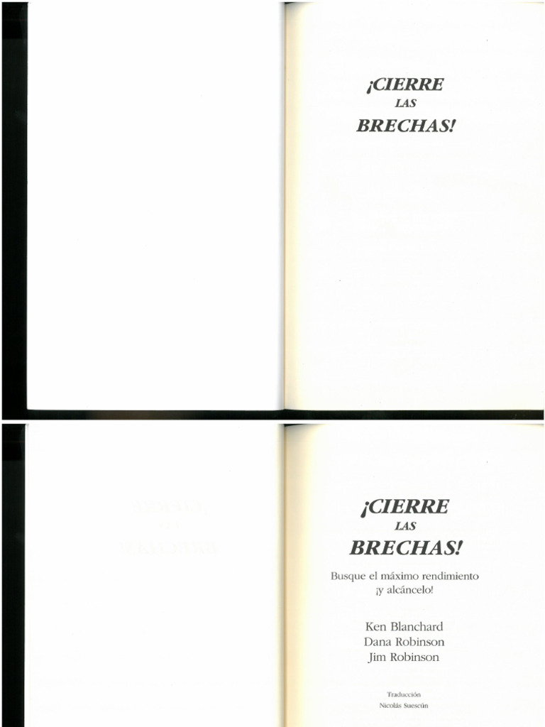 Libro Cierre Las Brechas | PDF