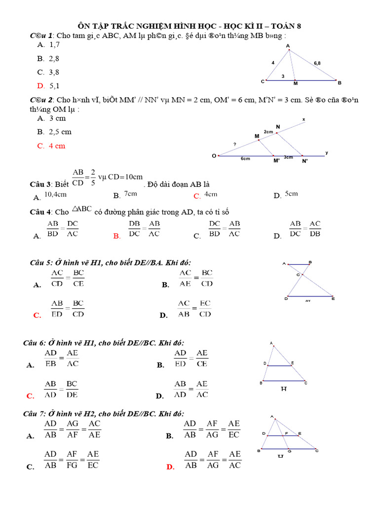 BT Trac Nghiem Hkii | PDF