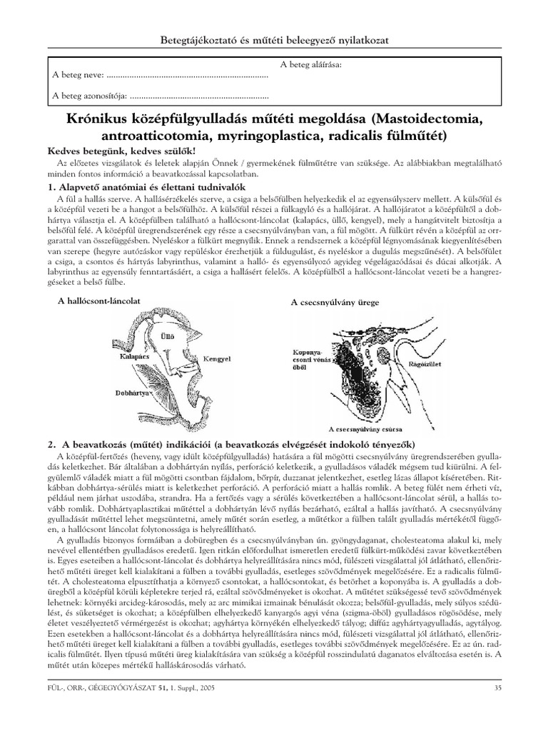 Kronikus Kozepfulgyulladas Muteti Megoldas | PDF