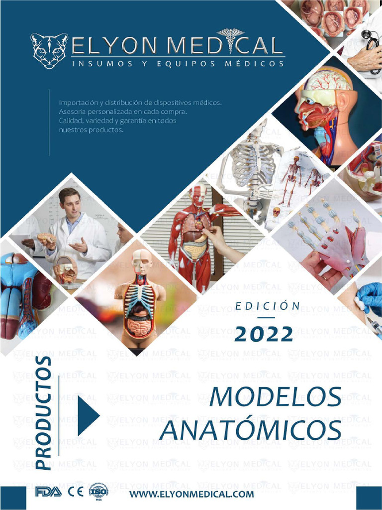 MODELOS-ANATOMICOS | PDF