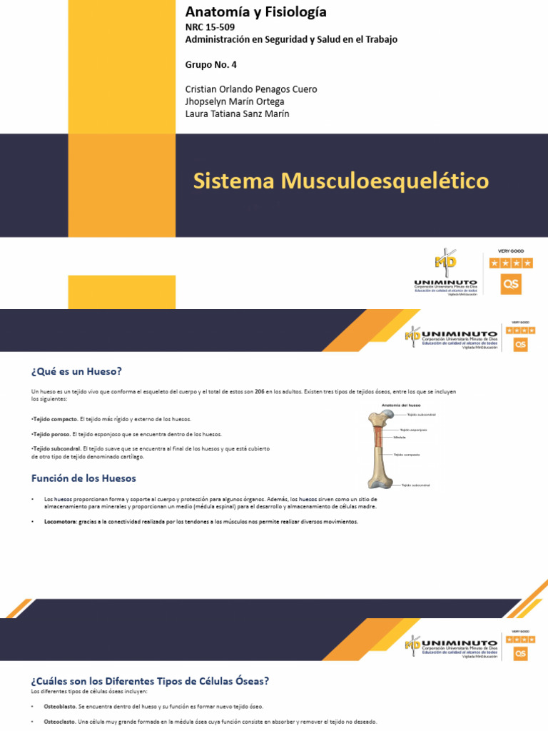 Sistema Musculo Esqueletico Pdf Articulación Hueso