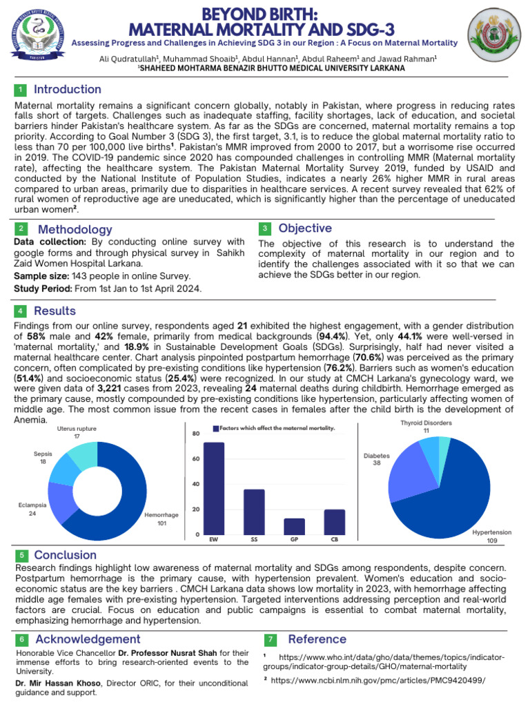 Maternal Mortality Research Poster (F) | Download Free PDF | Maternal ...